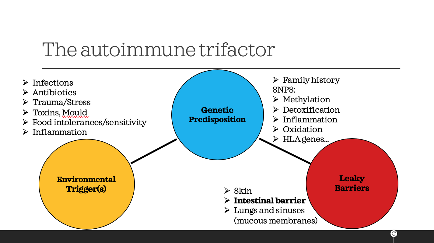 Autoimmune Triggers - Naturopath Solutions